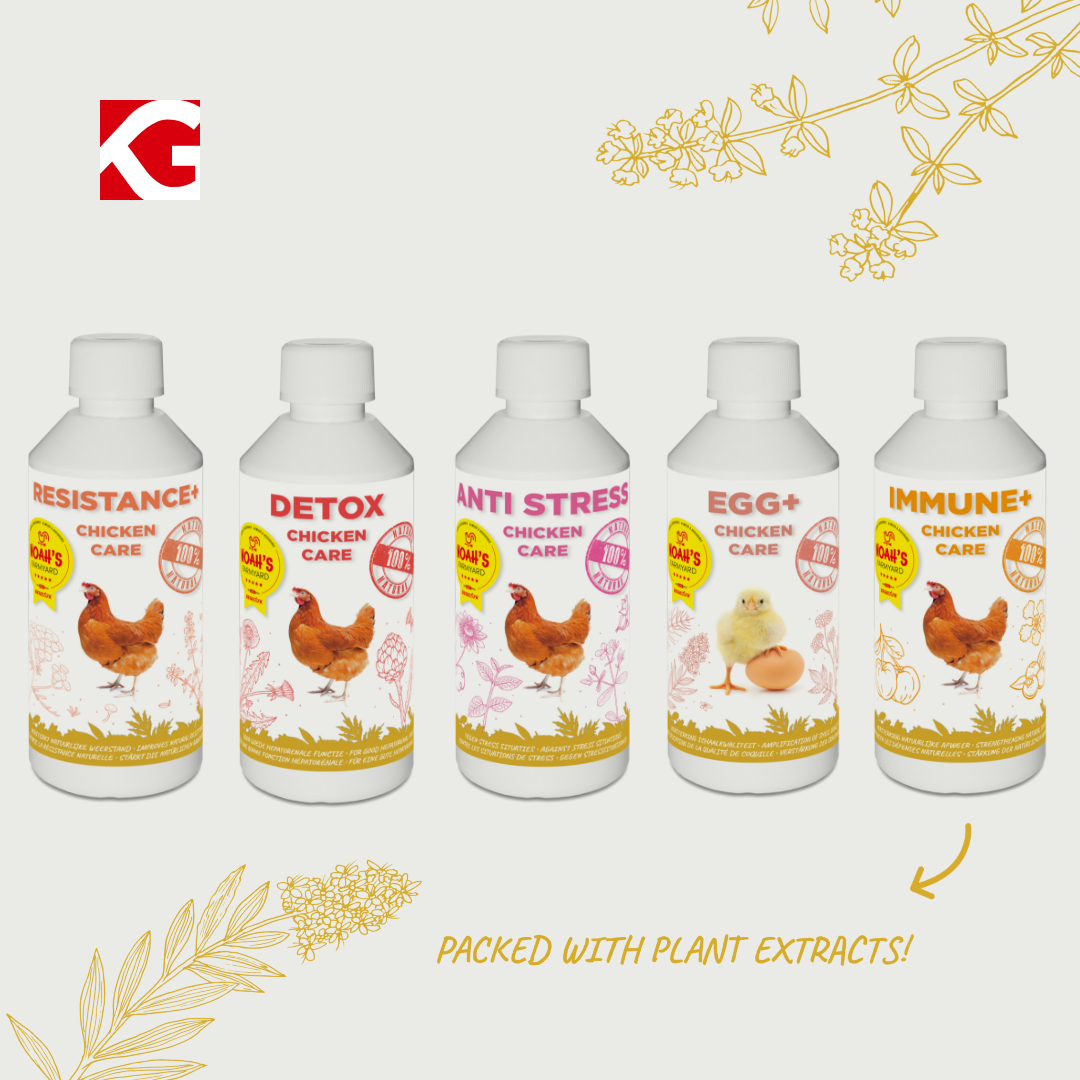 The 5 best chicken supplements